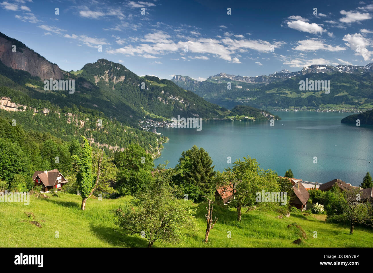 Lucerne lake hi-res stock photography and images - Alamy