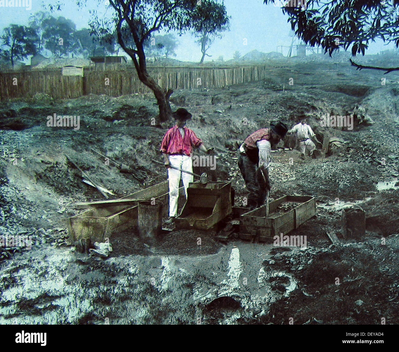 Gold miners australia hi-res stock photography and images - Alamy