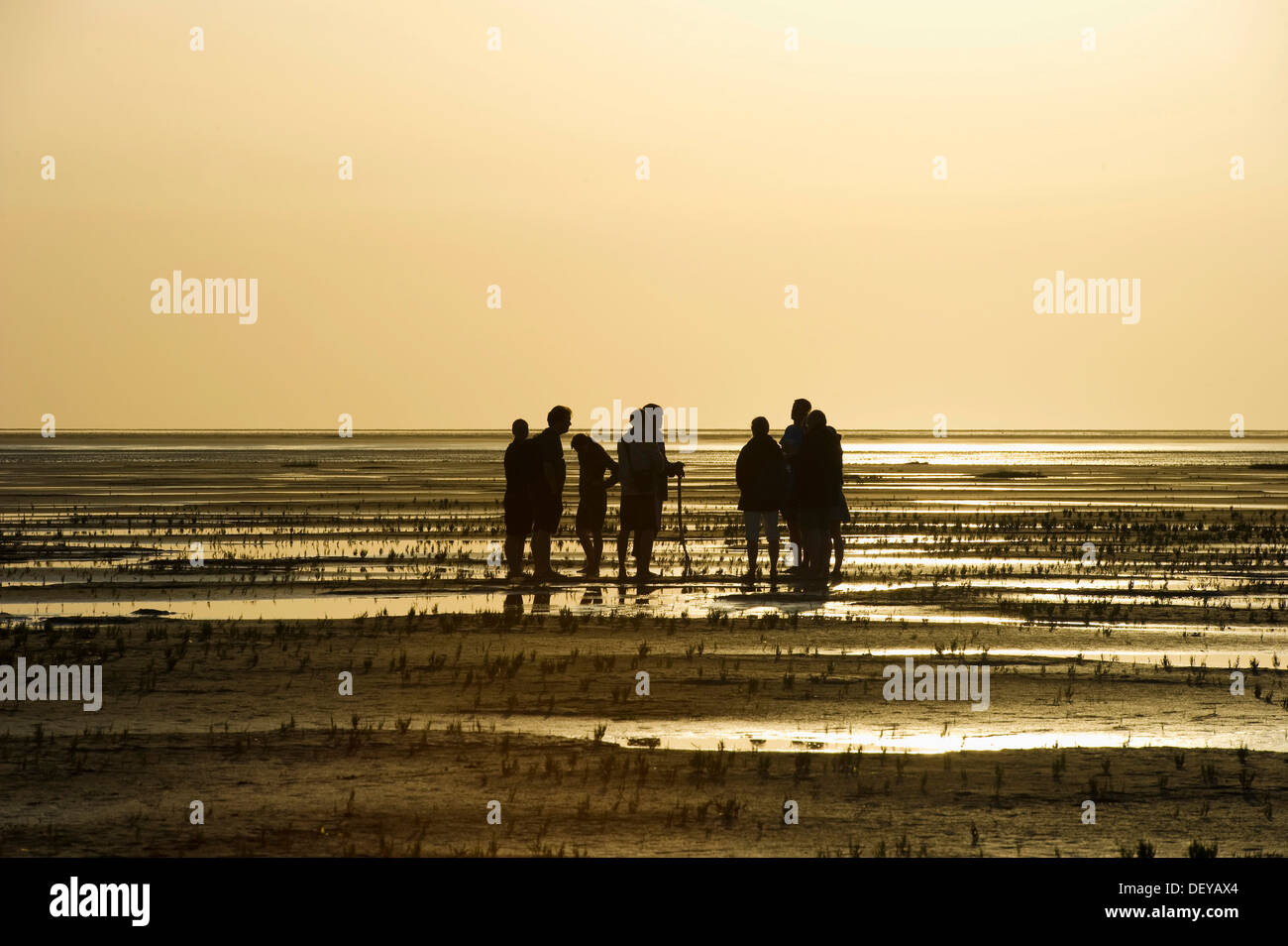 Mudflat hi-res stock photography and images - Alamy