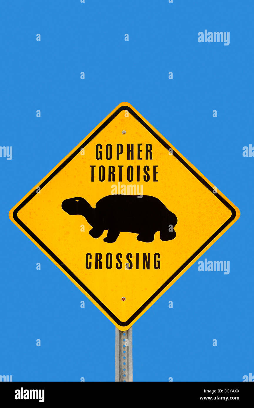 Warning sign, gopher tortoises crossing the road, Sanibel Island ...