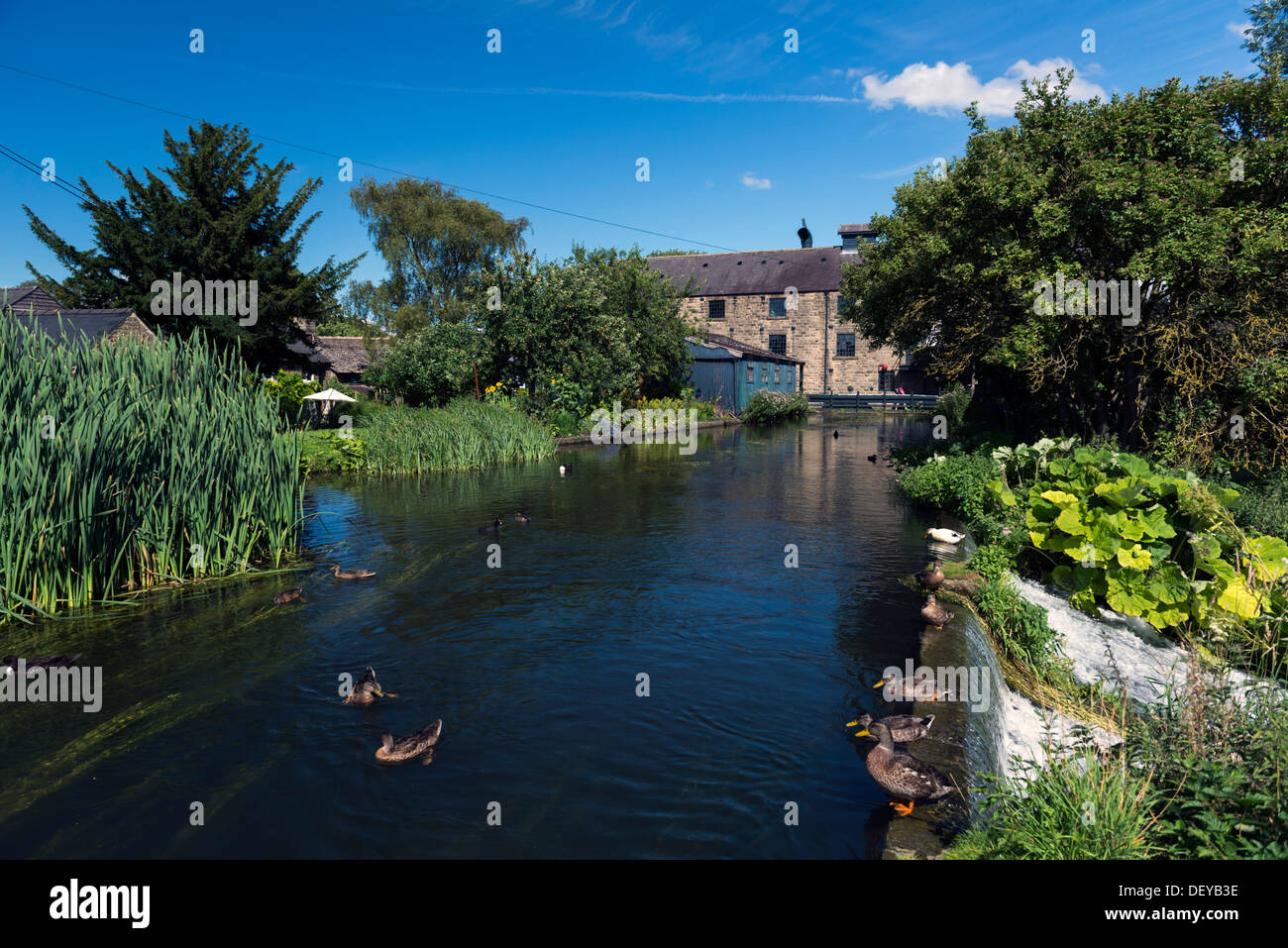 Caudwell Mill a historic 19th century working flour mill on the River ...