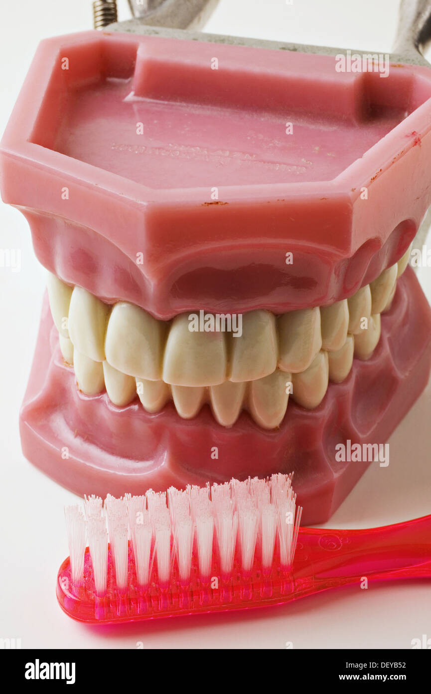 Cavity metaphor hi-res stock photography and images - Alamy