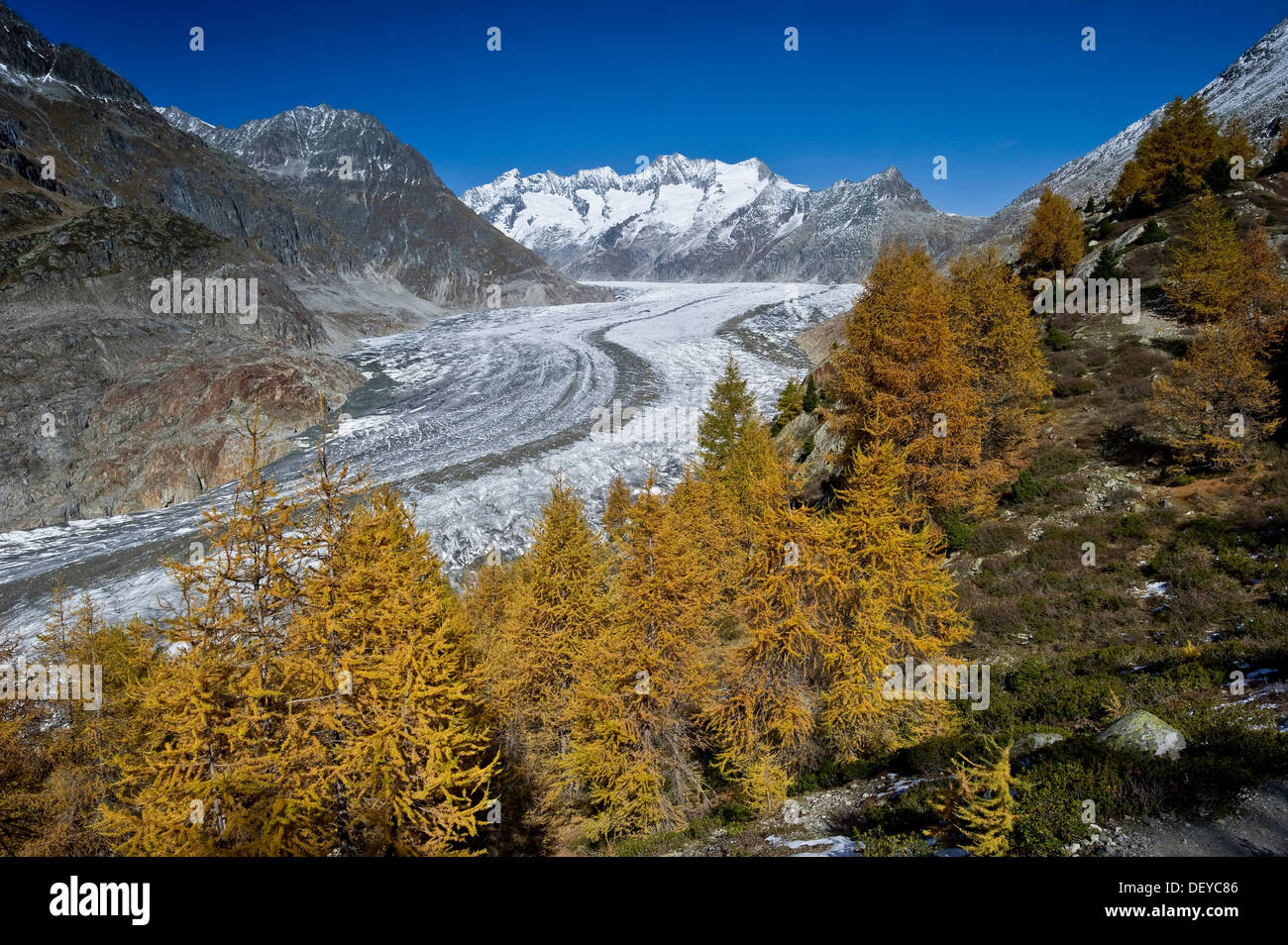 Aletsch glacier unesco world heritage hi-res stock photography and ...