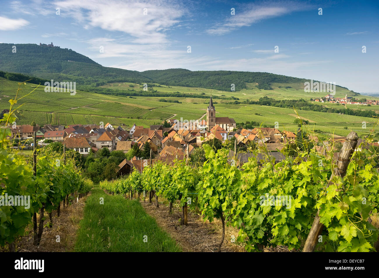 Alsace towns and villages hi-res stock photography and images - Alamy