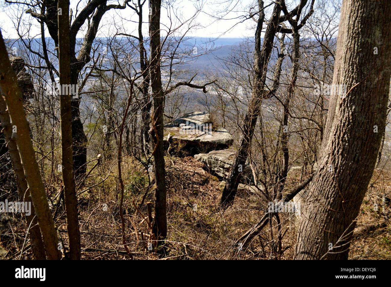 Tree overlook hi-res stock photography and images - Alamy