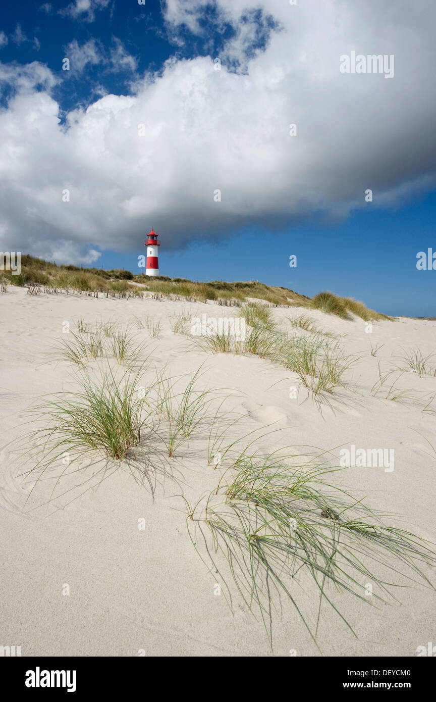 Ellenbogen sylt hi-res stock photography and images - Alamy