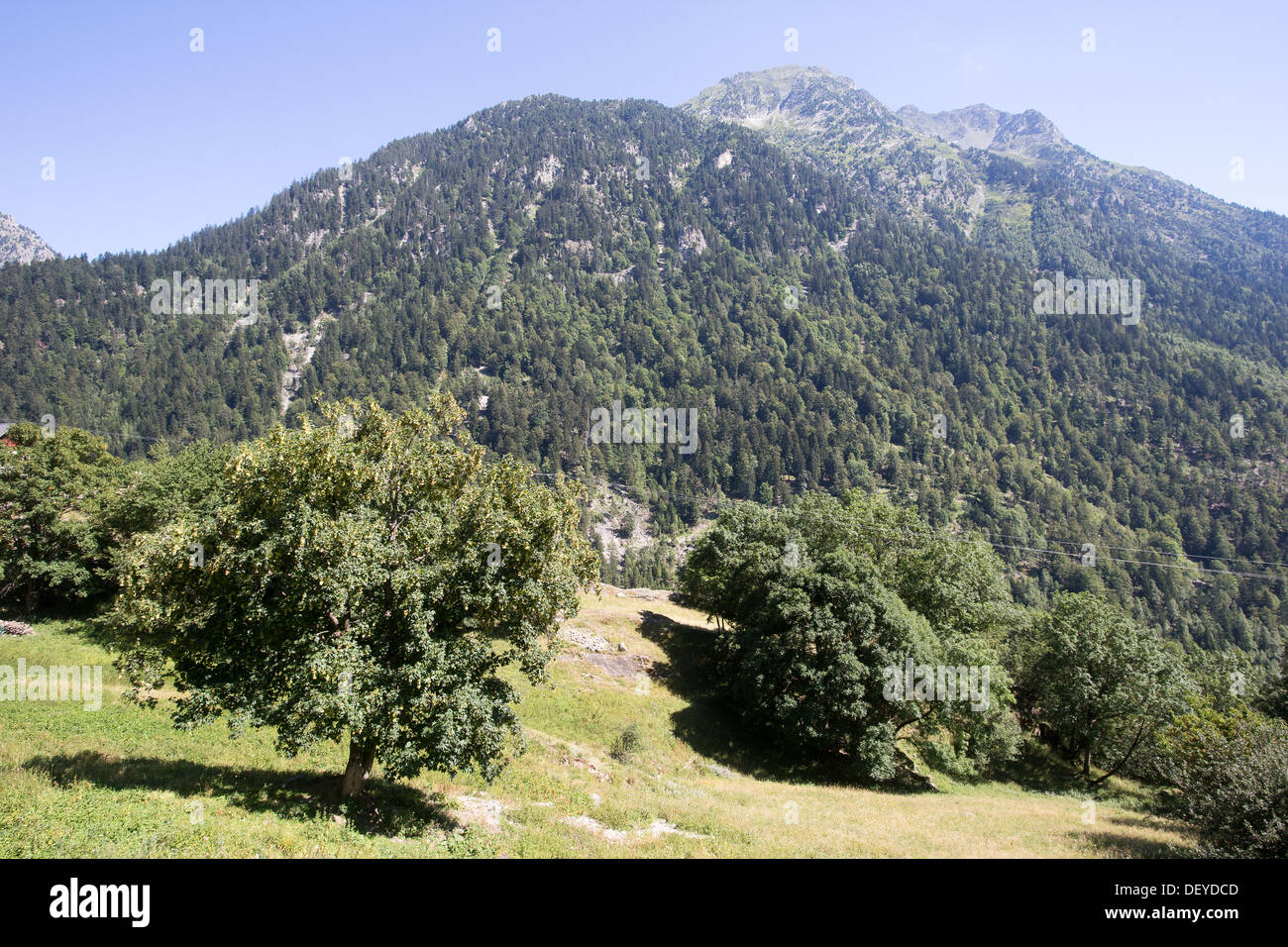 Allemont france hi-res stock photography and images - Alamy