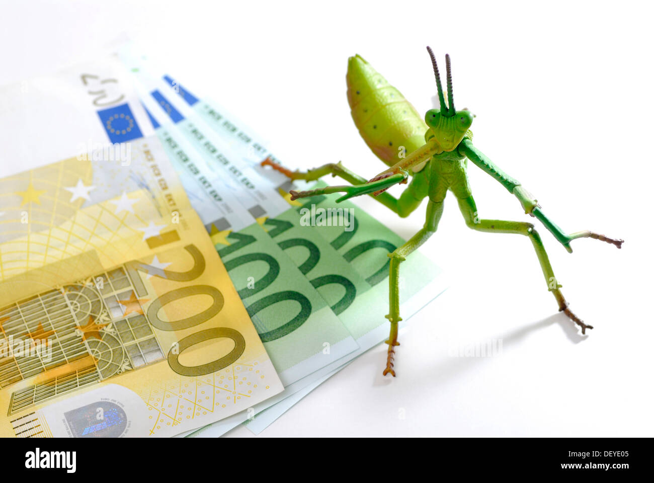 Locust on bank note, symbolic image for hedge funds Stock Photo - Alamy