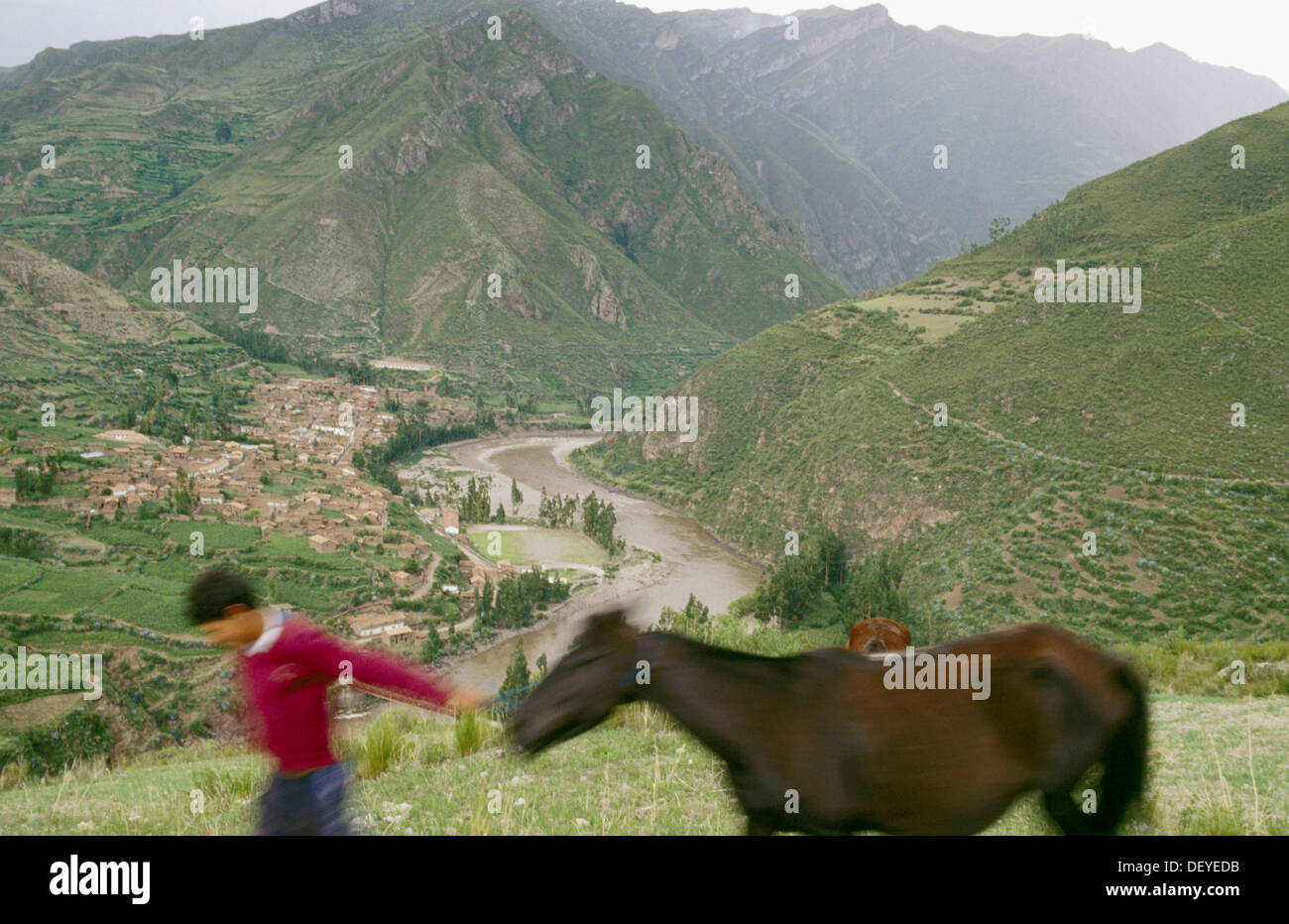 Native river horse hi-res stock photography and images - Alamy