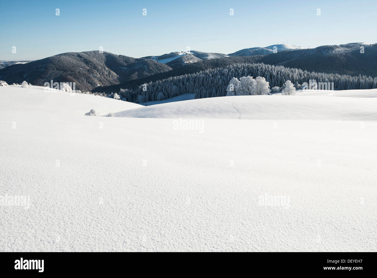 Winter landscape, Feldberg Mountain at the rear, Schauinsland, Baden ...