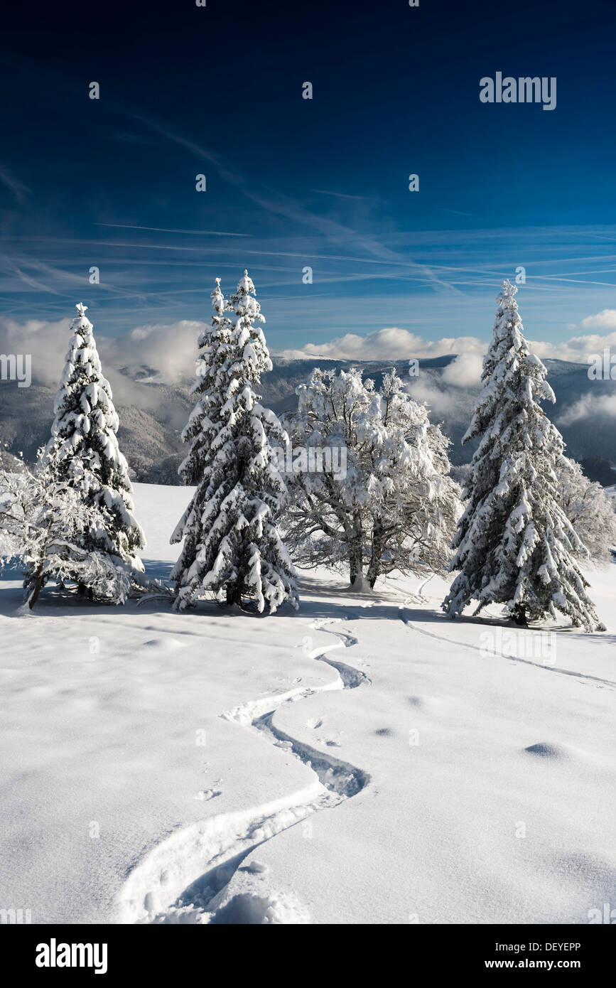 Germany winter landscape trees hi-res stock photography and images - Alamy