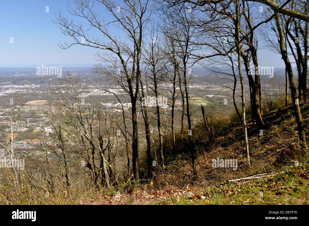 Trees on a hill overlooking Chattanooga Stock Photo - Alamy