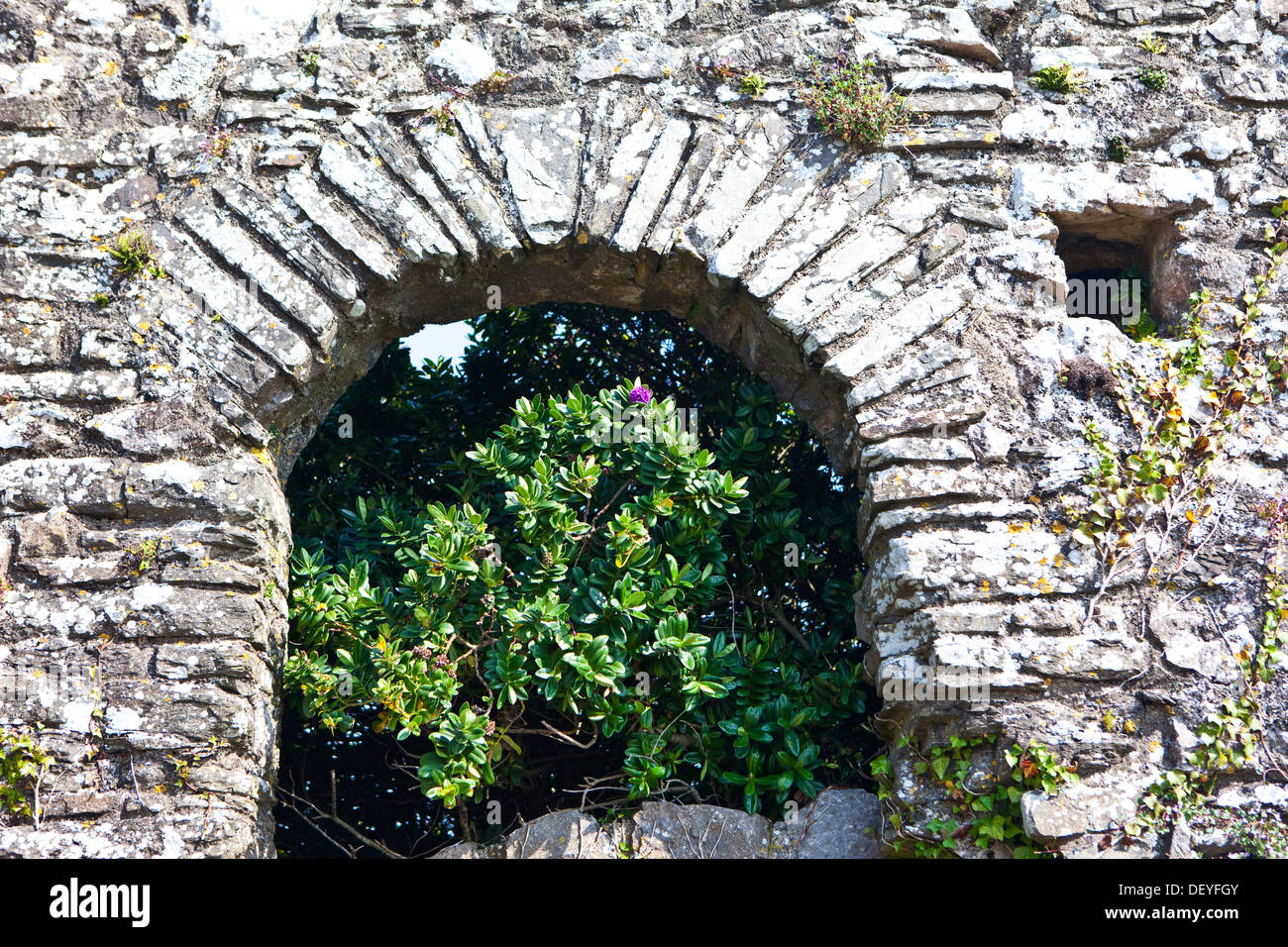 Ancient stone arch in Tenby, Pembrokeshire, Wales, UK Stock Photo - Alamy