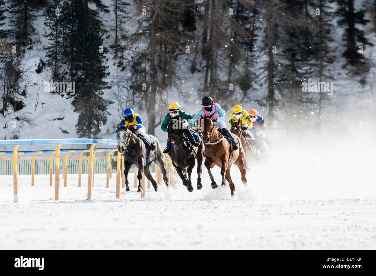Horse racing on a frozen lake, St. Moritz, Engadin, Graubünden ...