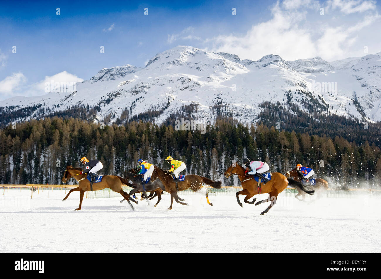 Frozen horse hi-res stock photography and images - Alamy