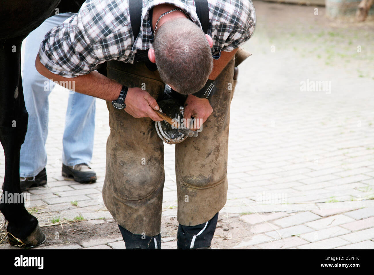 Farriers at work Stock Photo - Alamy