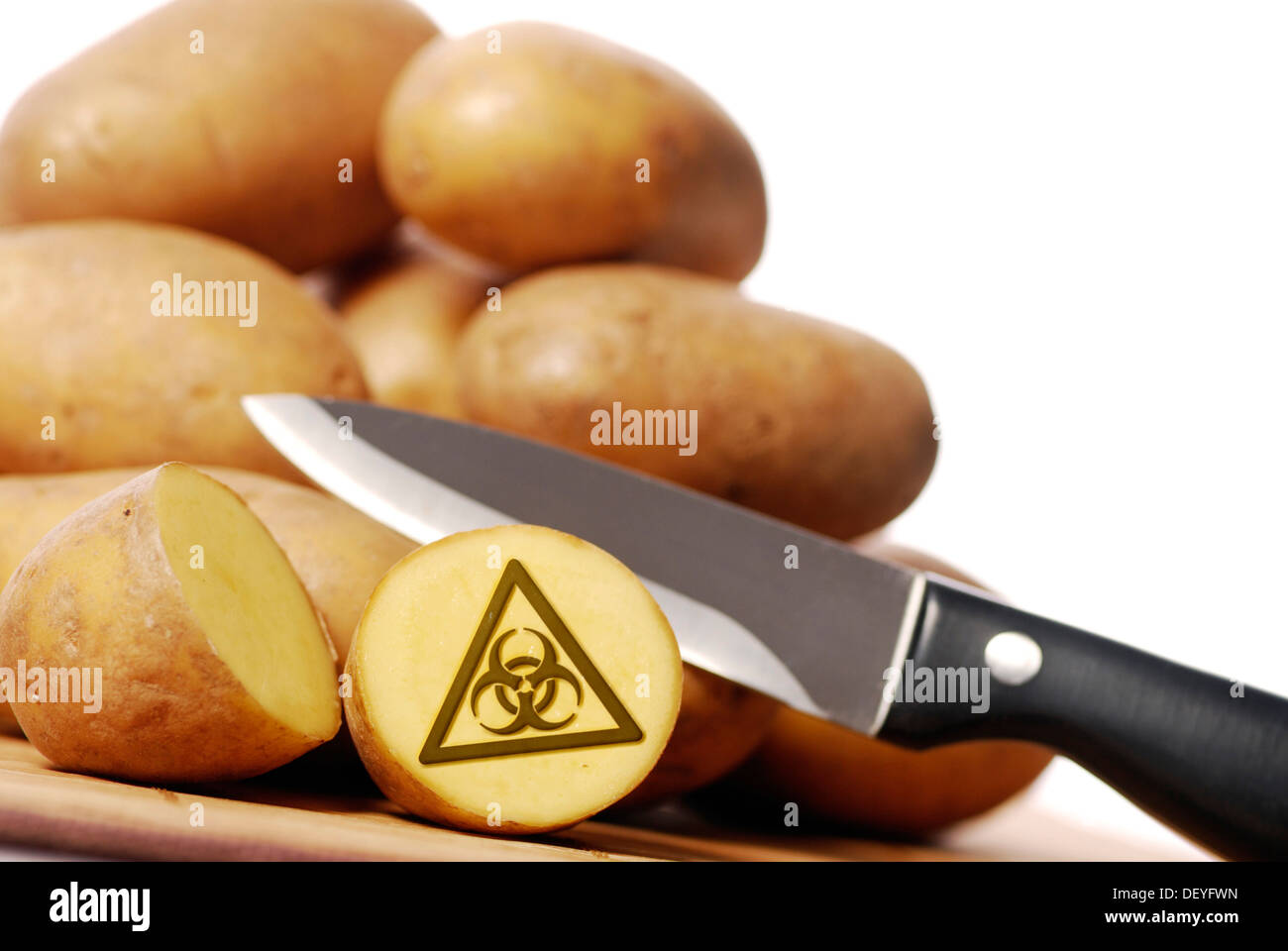 Potatoes and knife, warning sign for biohazard, symbolic image for genetically modified potatoes ...
