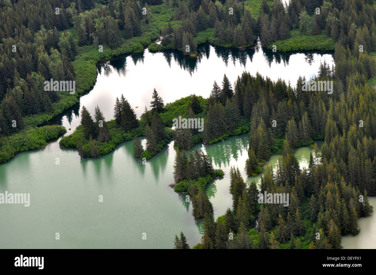 Alaskan Trees as seen from the air Stock Photo - Alamy