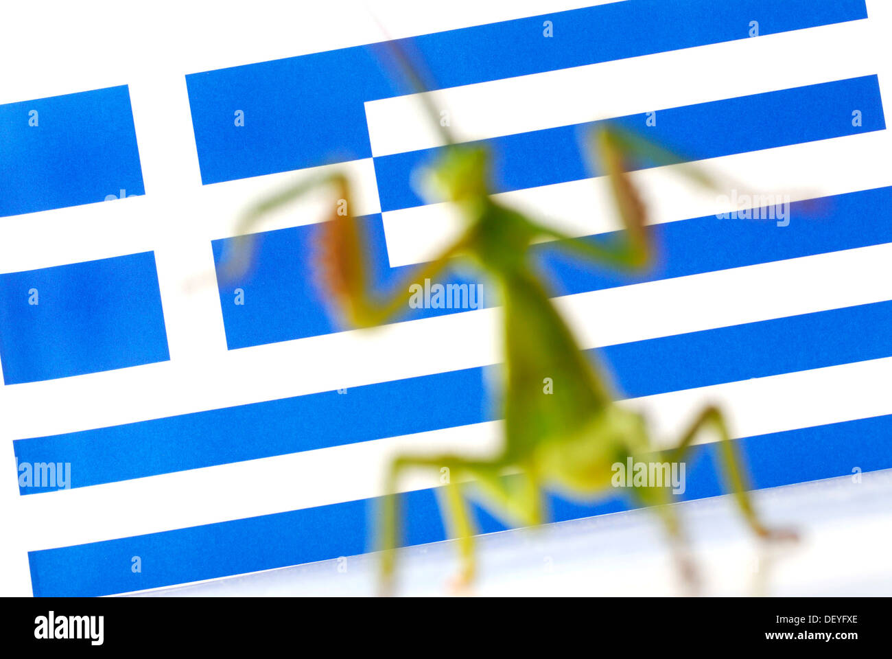 Grasshopper as a symbolic image for hedge funds on a flag of Greece ...