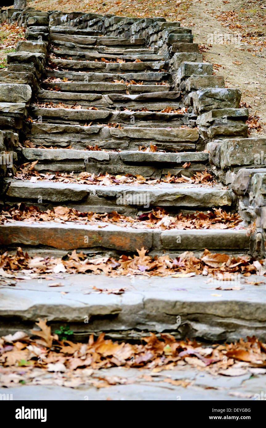 Up the Steps Stock Photo - Alamy