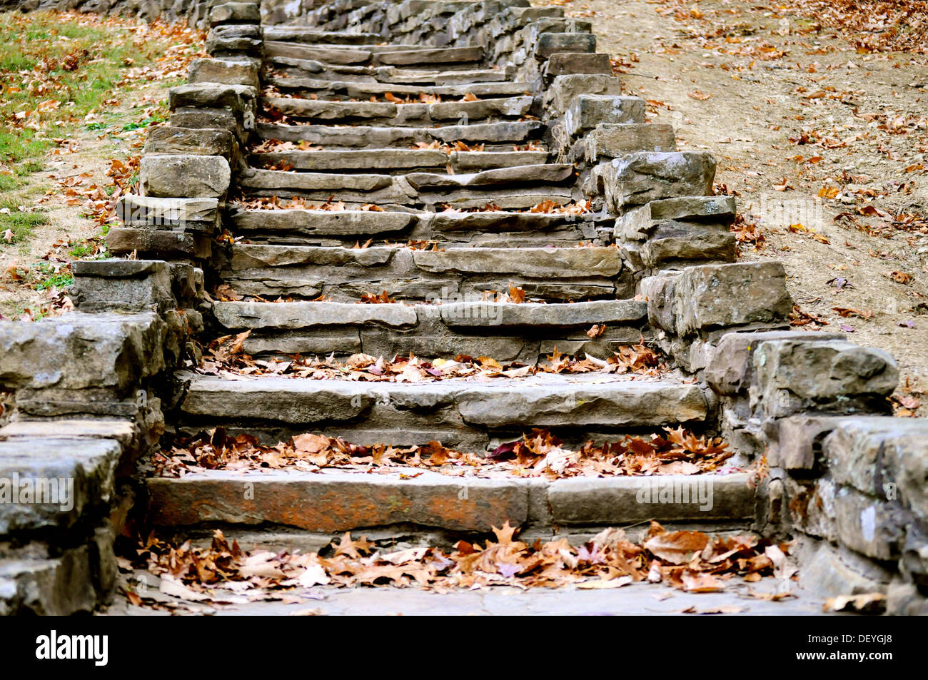 Up the Steps Stock Photo - Alamy