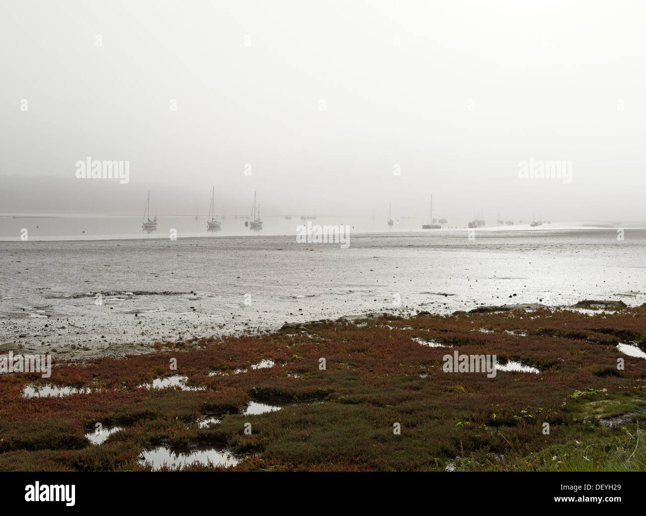 Cold water mud misty hi-res stock photography and images - Alamy