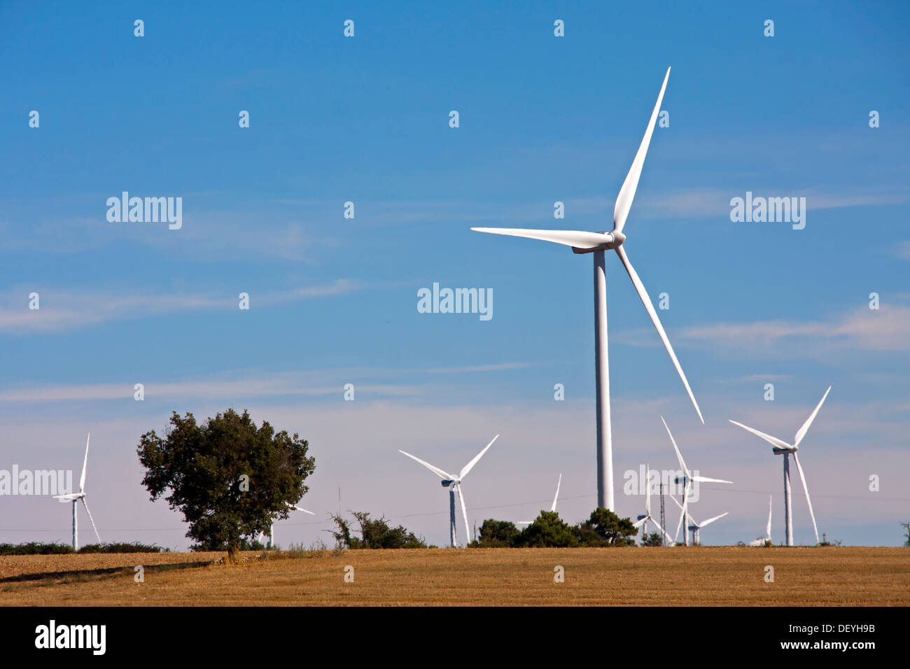 wind turbines field Stock Photo - Alamy
