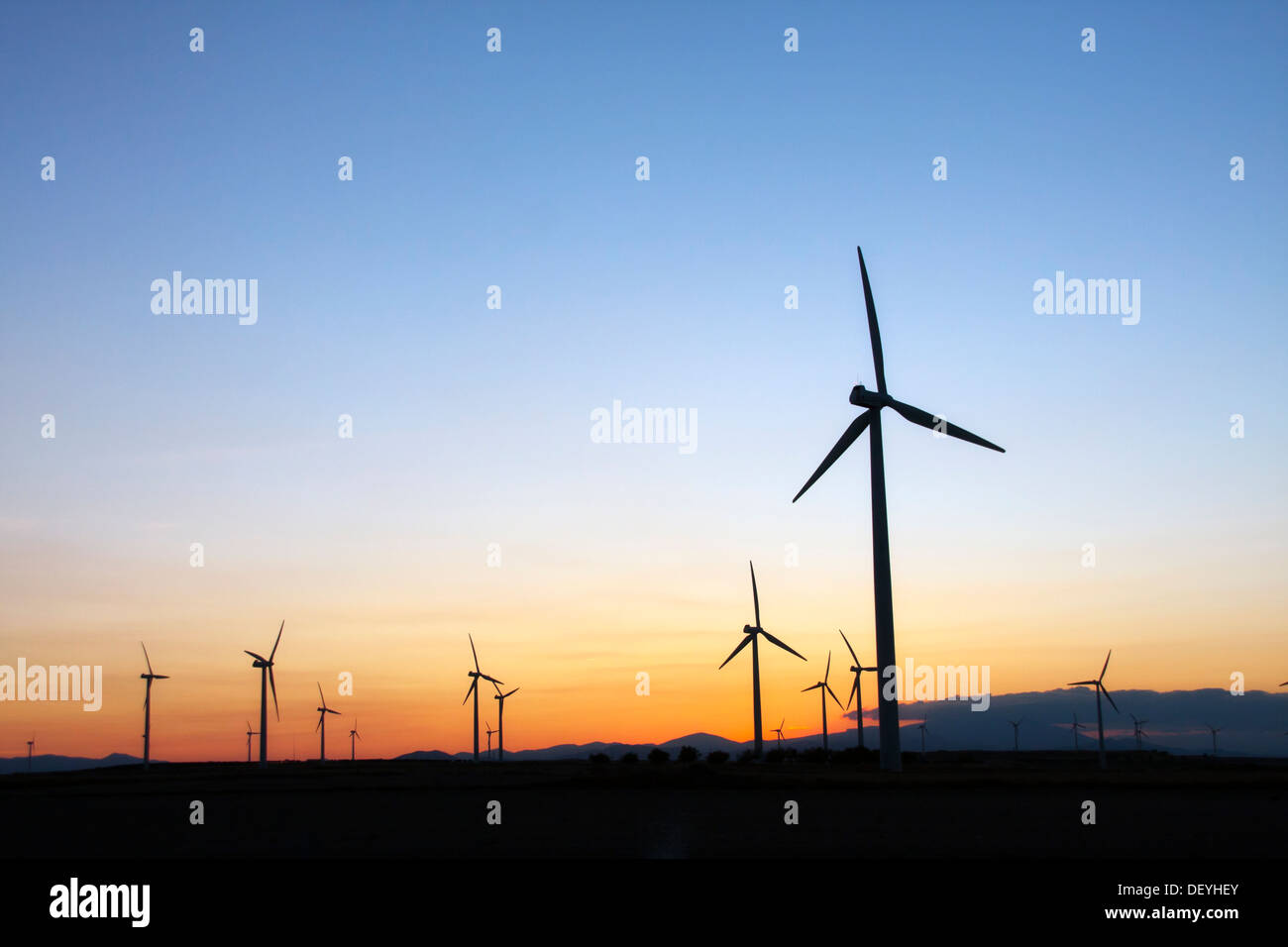 wind turbines field at sunset Stock Photo - Alamy