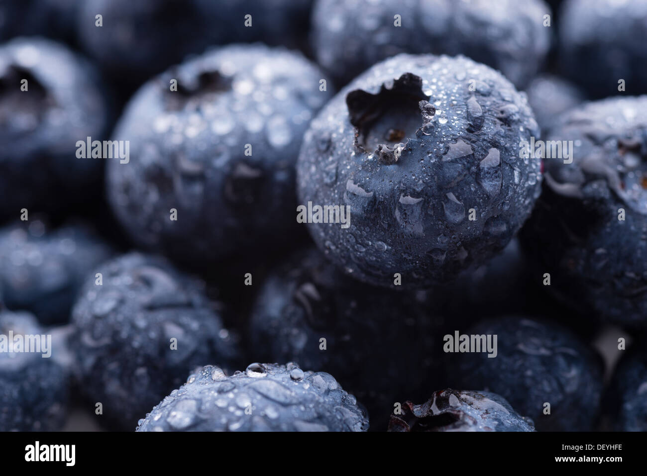 Fruits and vegetables: group of fresh wet blueberries, close-up shot ...