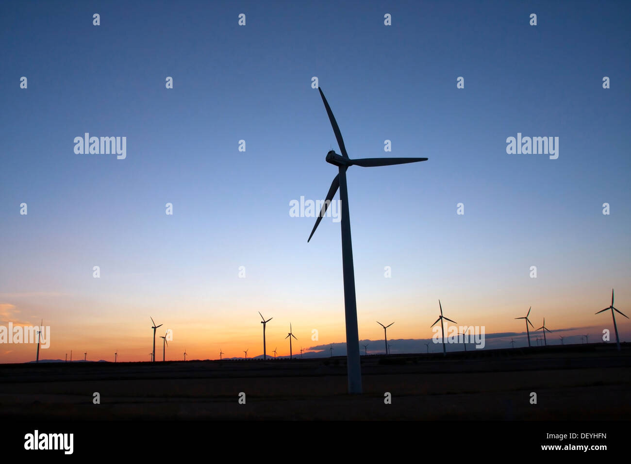 wind turbines field at sunset Stock Photo - Alamy