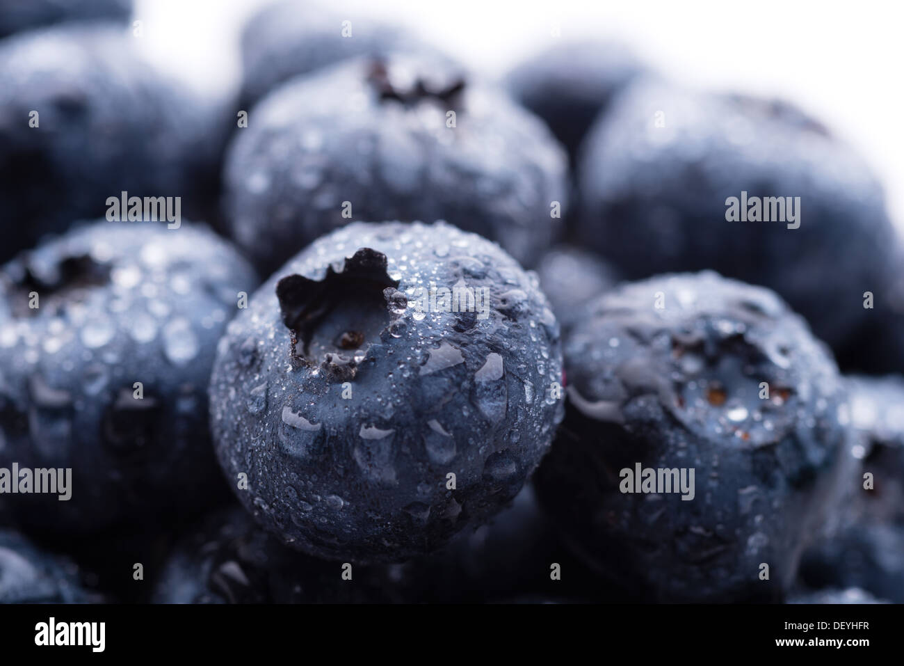 Fruits and vegetables: group of fresh wet blueberries, close-up shot ...