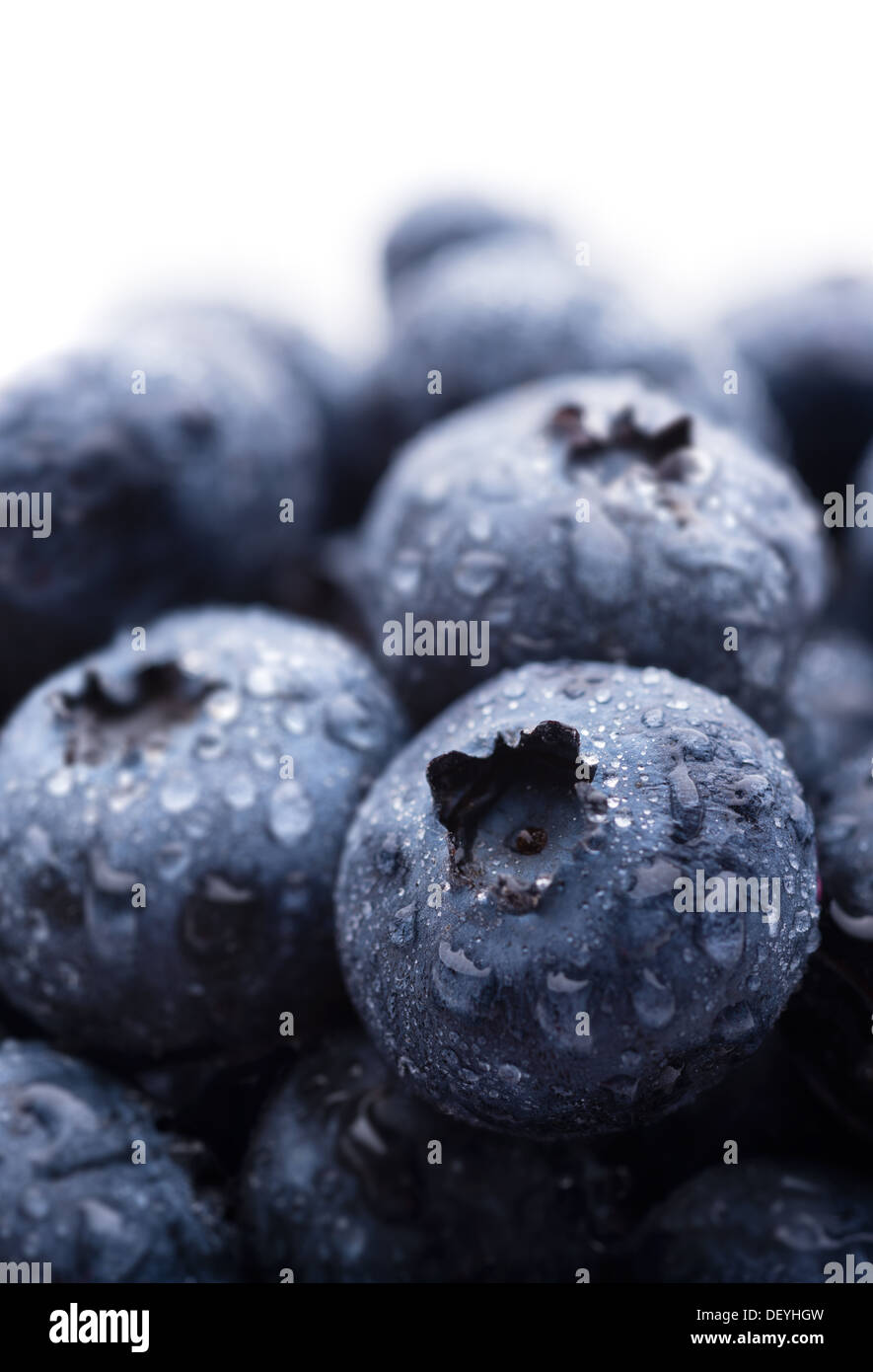Fruits and vegetables: group of fresh wet blueberries, close-up shot ...
