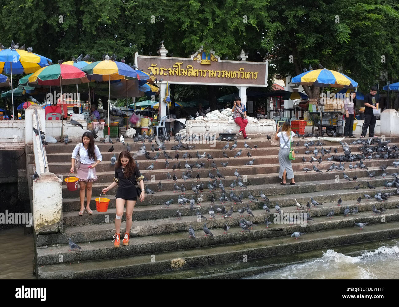 Thai Buddhists release fish into the river outside Wat Rakang temple ...