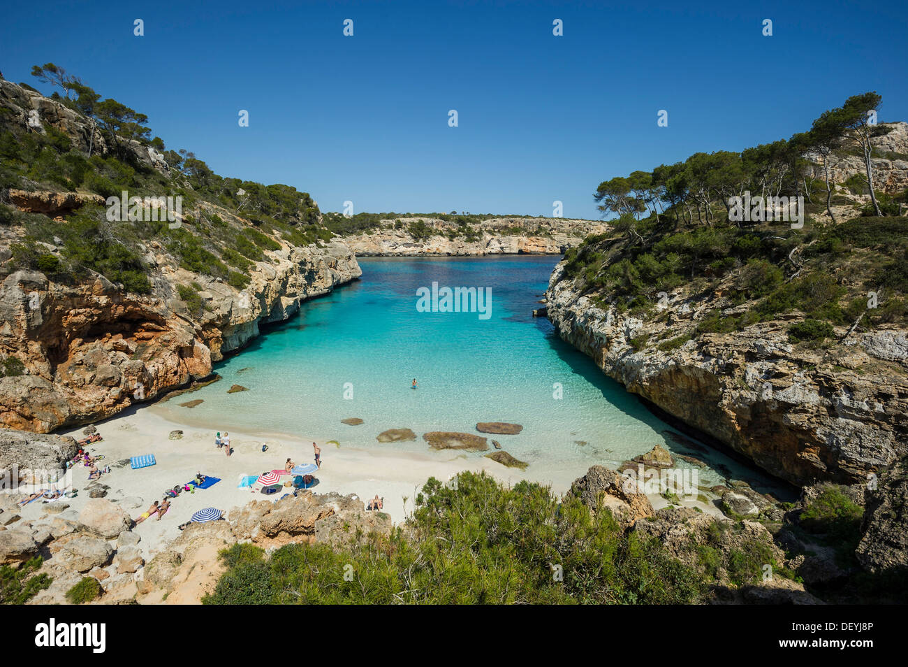 Bay with beach and pine trees, Cala Moro, Santanyi, Majorca, Balearic ...