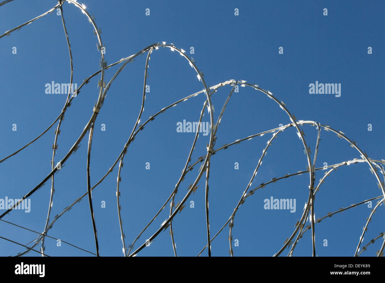 Razor Wire, Barbed wire, security fence, high security compound, wire ...