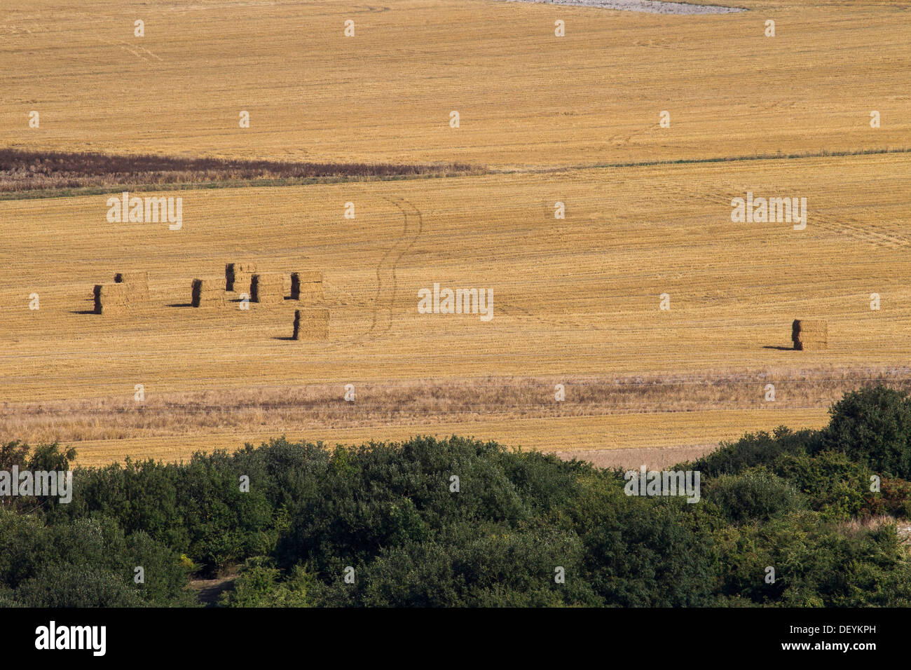 Recently harvested hay bales stand in the field like ancient standing ...