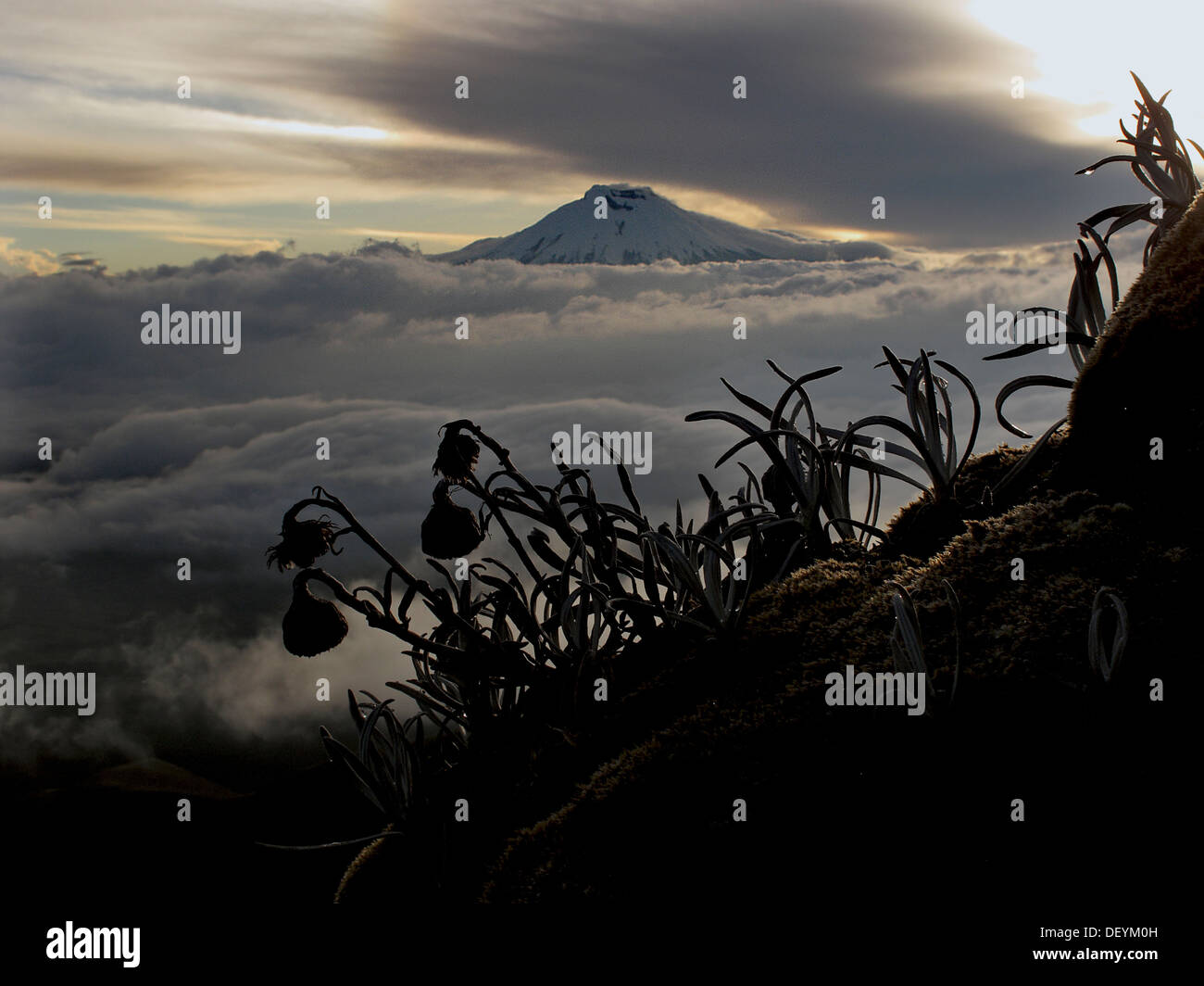 Cotopaxi volcano aerial shot Stock Photo - Alamy