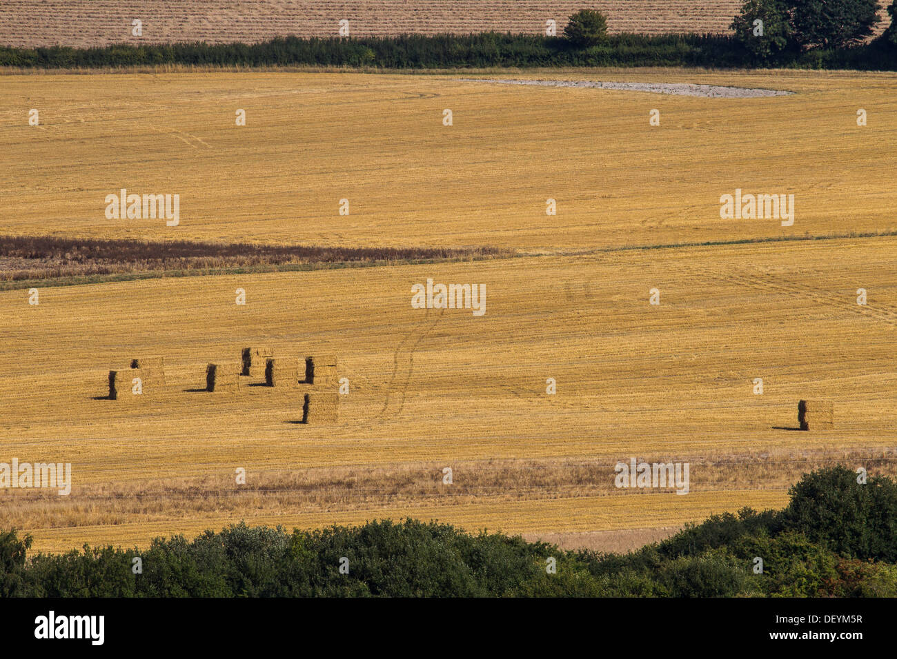 Recently harvested hay bales stand in the field like ancient standing ...