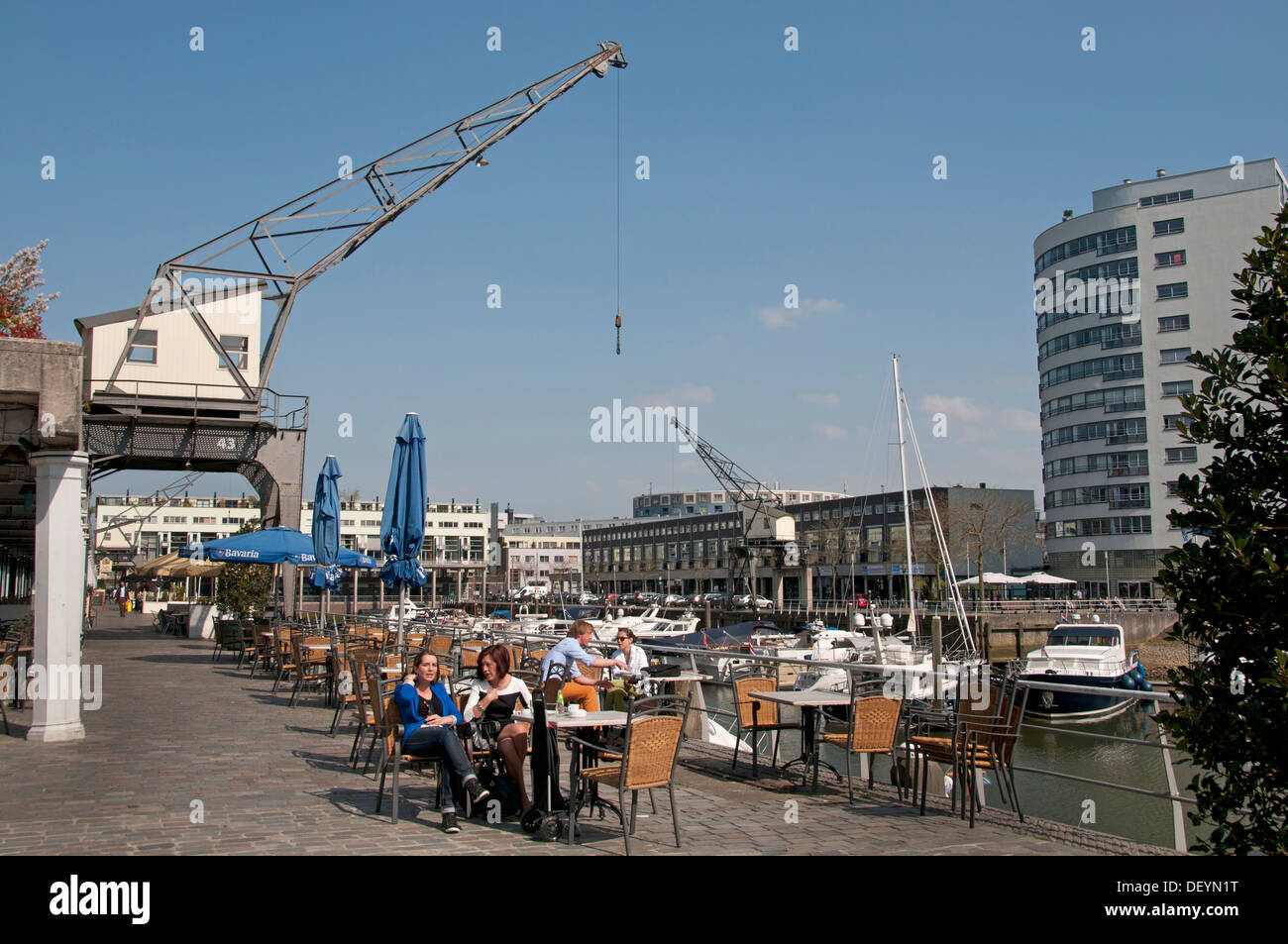 Rotterdam marina entrepothaven hi-res stock photography and images - Alamy