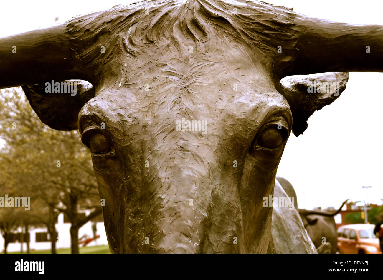 Texas longhorn statue hi-res stock photography and images - Alamy