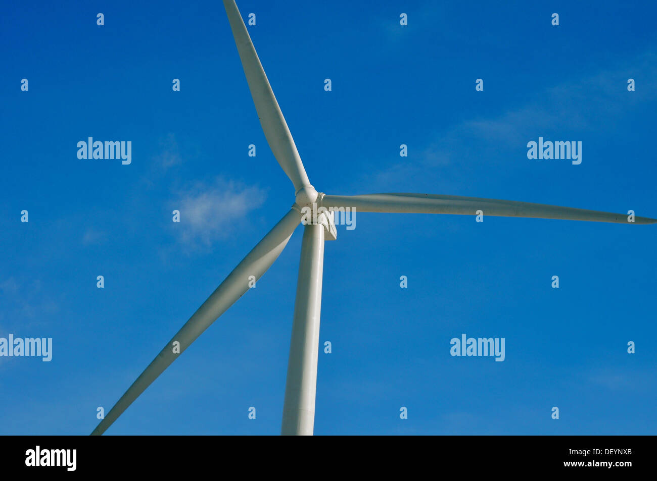 Chasing the wind hi-res stock photography and images - Alamy