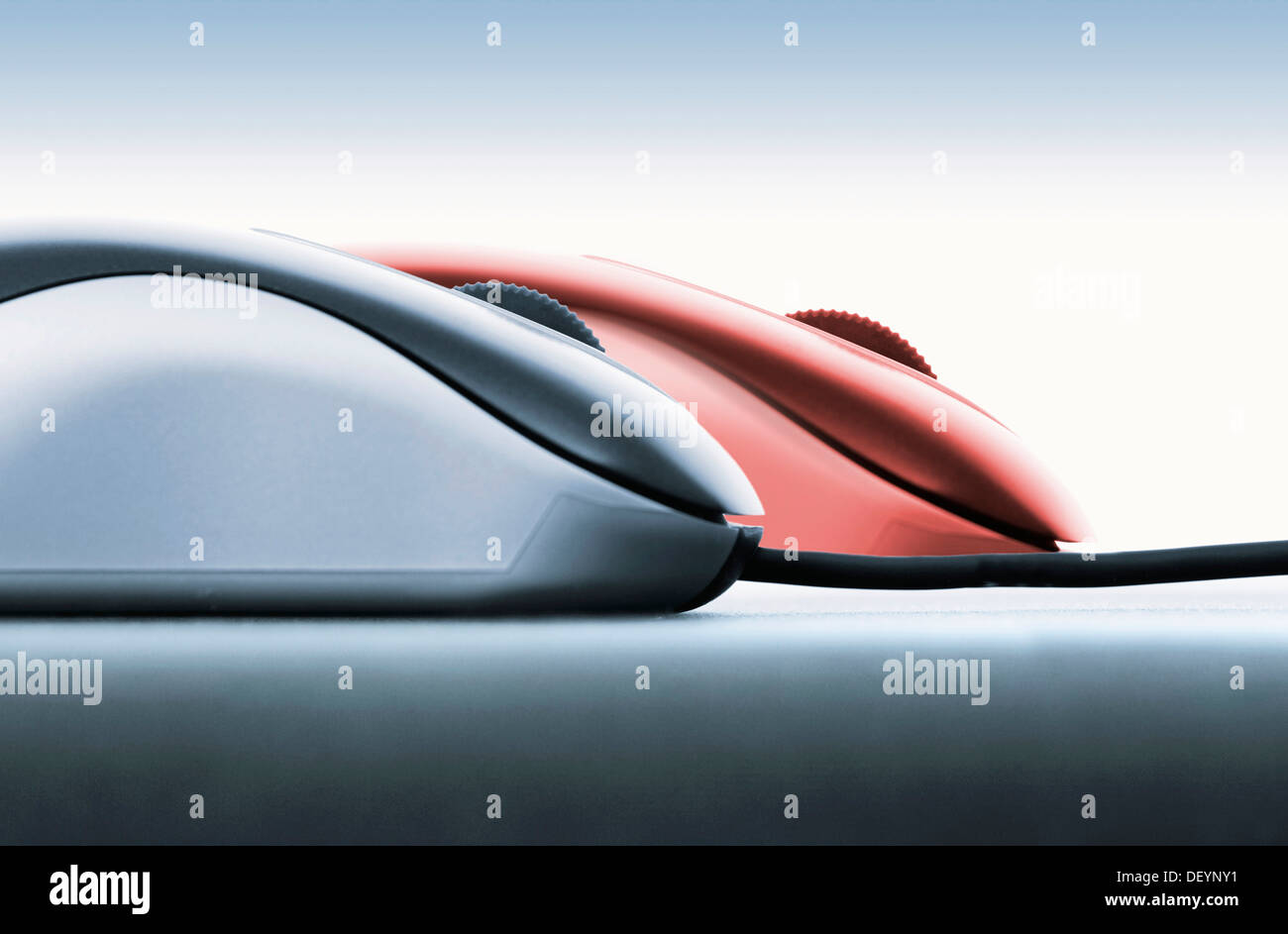 Two Computer Mice High Resolution Stock Photography and Images - Alamy