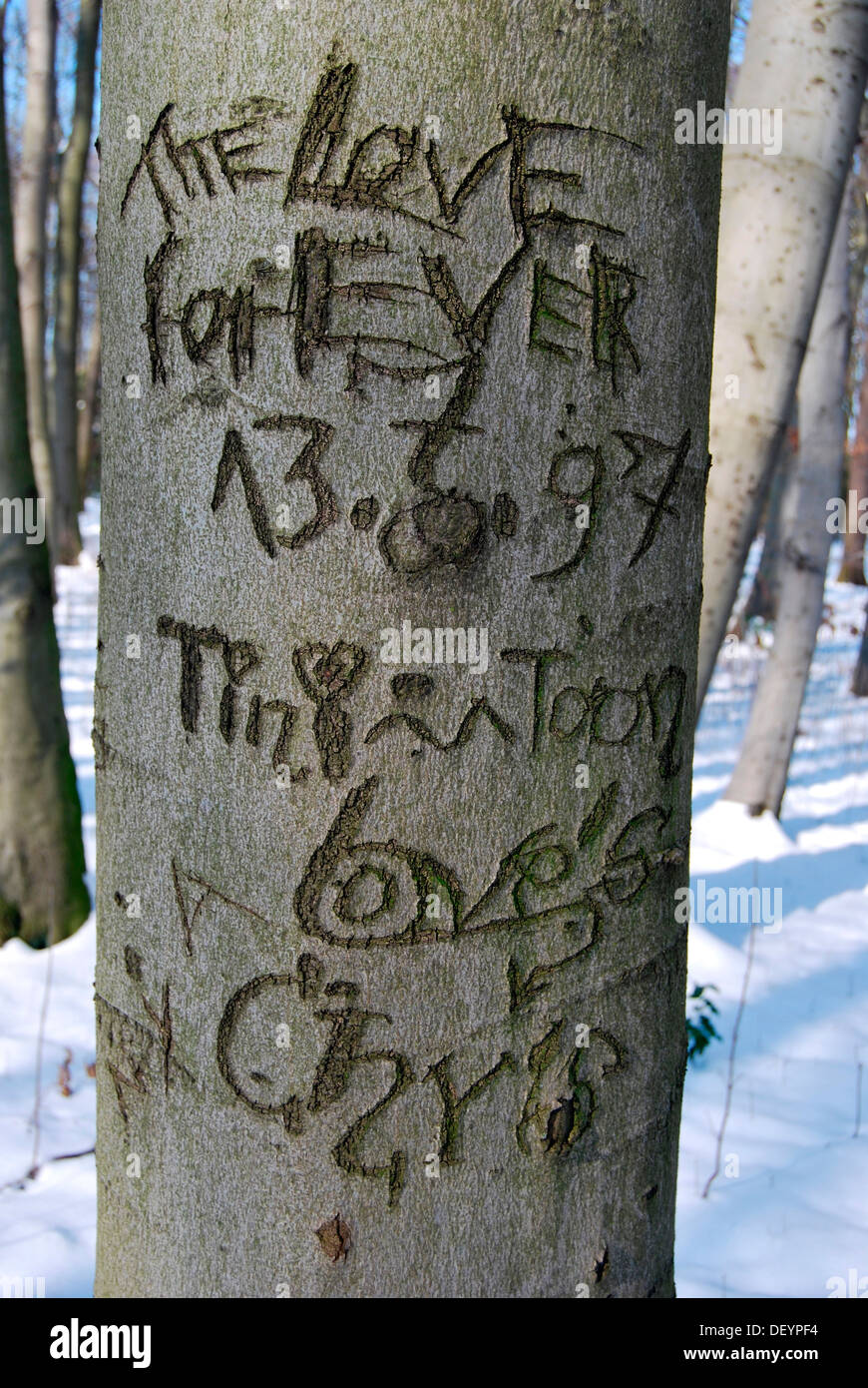 Tree Carvings Love High Resolution Stock Photography and Images - Alamy