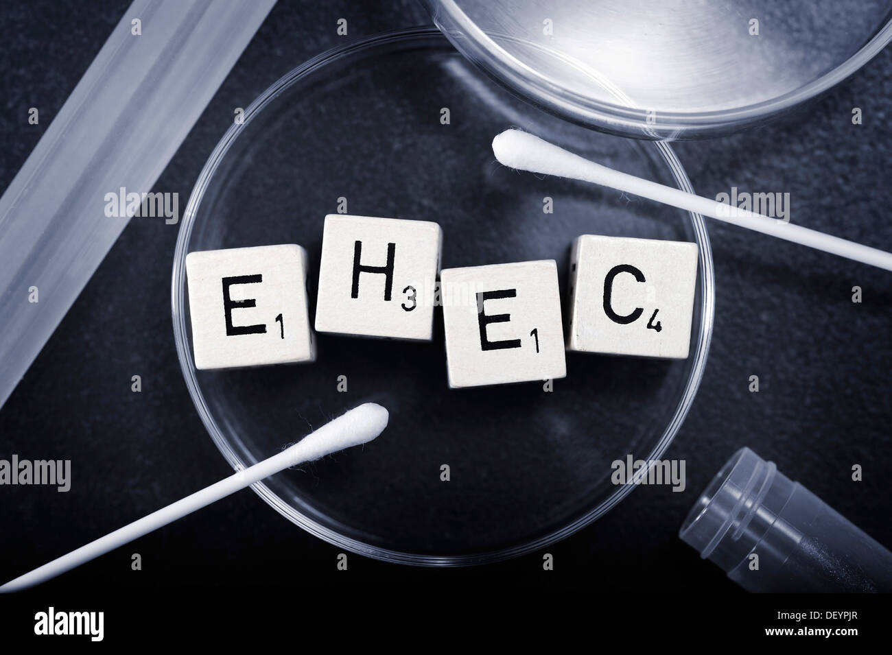 Lettering EHEC in a petri dish, symbolic image for EHEC pathogens Stock ...