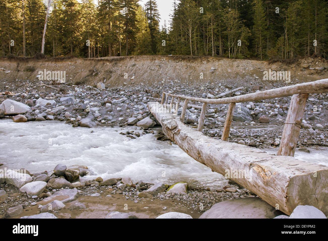 A narrow log is set up as a foot bridge over the rushing water of the ...