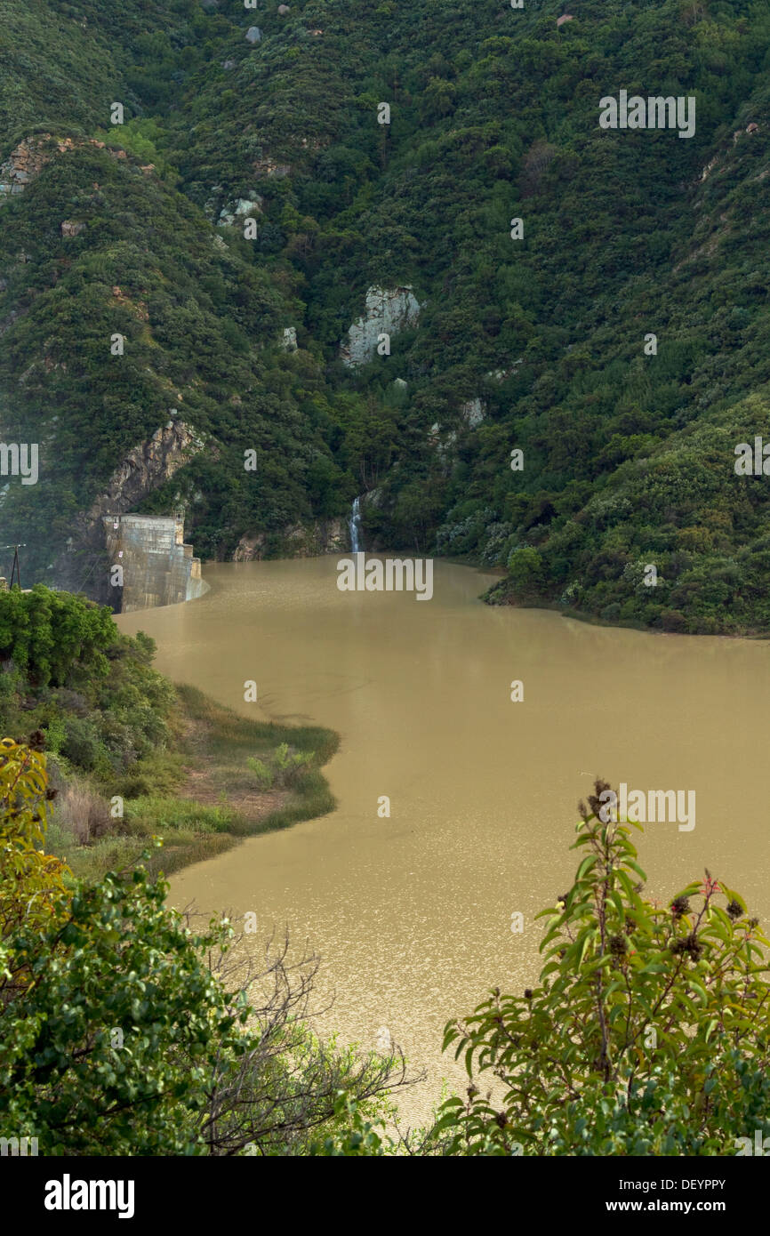 Matilija hi-res stock photography and images - Alamy