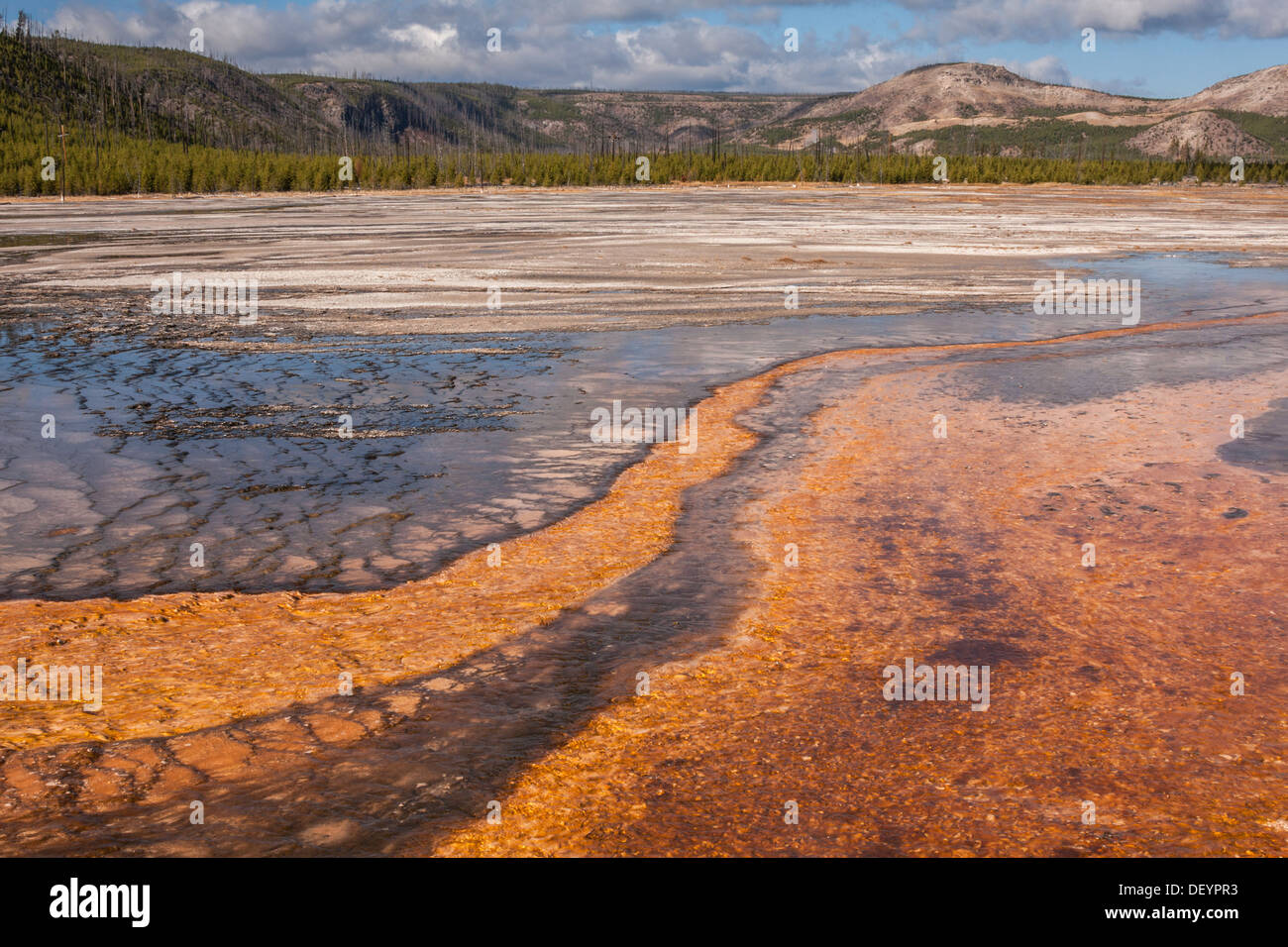 Vivid colours of Grand Prismatic Spring, Yellowstone National Park ...