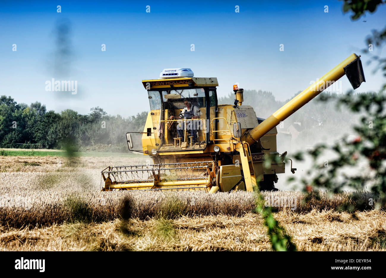 Combines at work during wheat harvest hi-res stock photography and ...