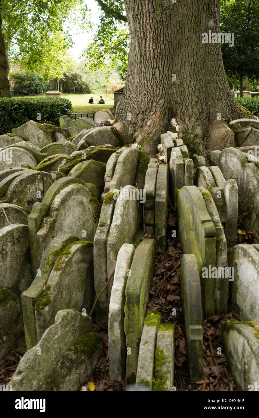 The Hardy Tree, Old St Pancras churchyard, King's Cross, London. In ...