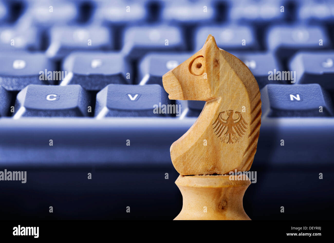 Knight chess piece on a computer keyboard, symbolic image for the ...